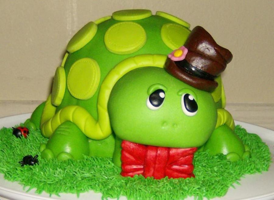 Turtle All Dressed Up - CakeCentral.com