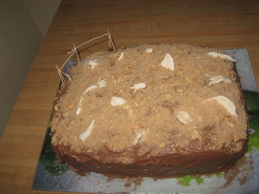 Dinosaur Dig Zone - CakeCentral.com