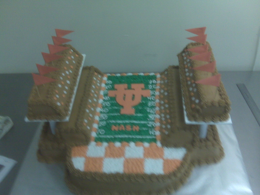 Ut Football Stadium Cake - CakeCentral.com
