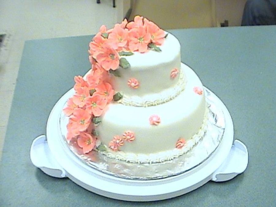 Class 3 Final Cake - CakeCentral.com