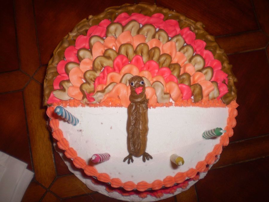 My_First_Cake_011.jpg - CakeCentral.com