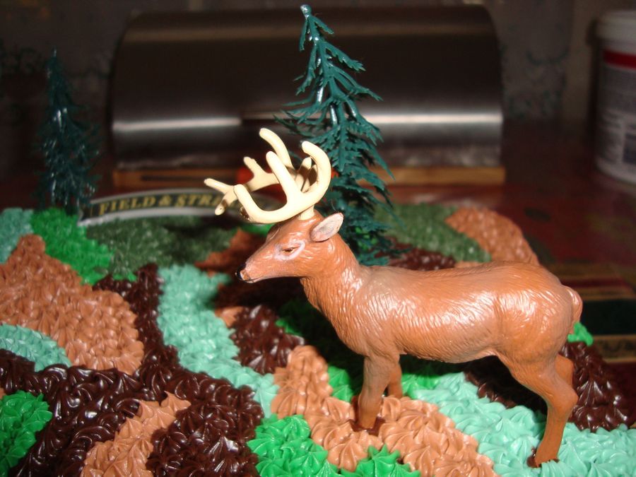 Hunter/deer/camouflage Cake - CakeCentral.com