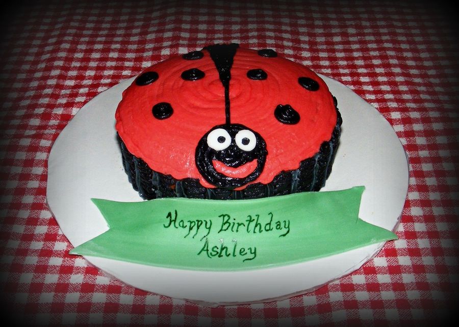Ladybug Smash Cake - CakeCentral.com