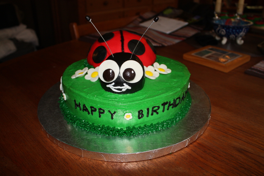 Ladybug Cake - CakeCentral.com