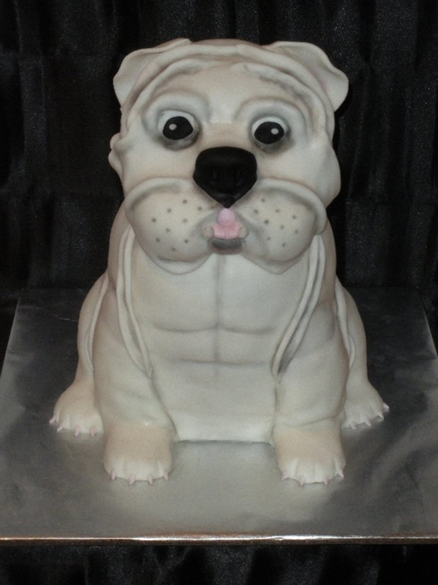 Bulldog Cake - CakeCentral.com