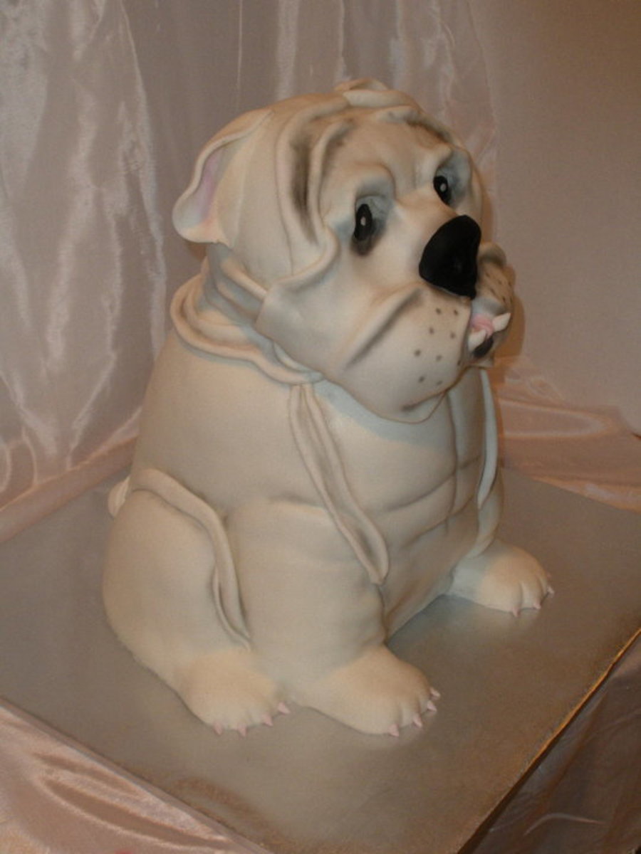 Bulldog Cake - CakeCentral.com