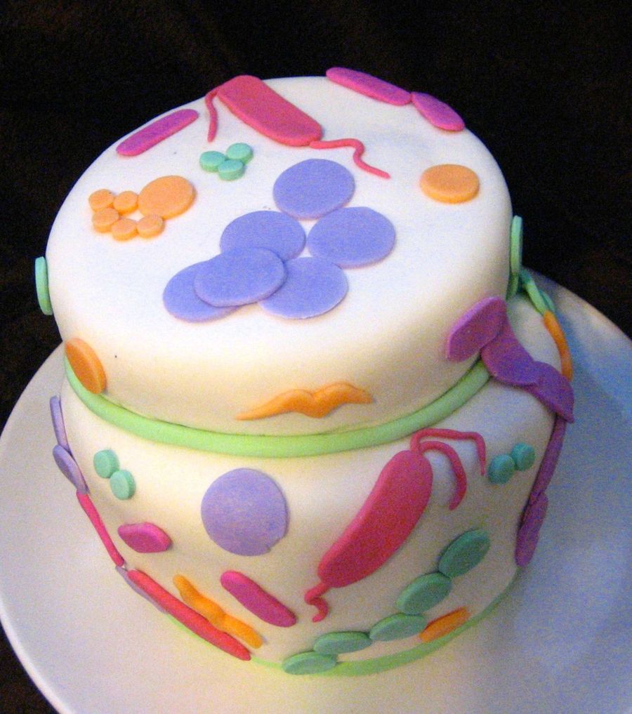 Bacteria Cake For Microbiology Class - CakeCentral.com