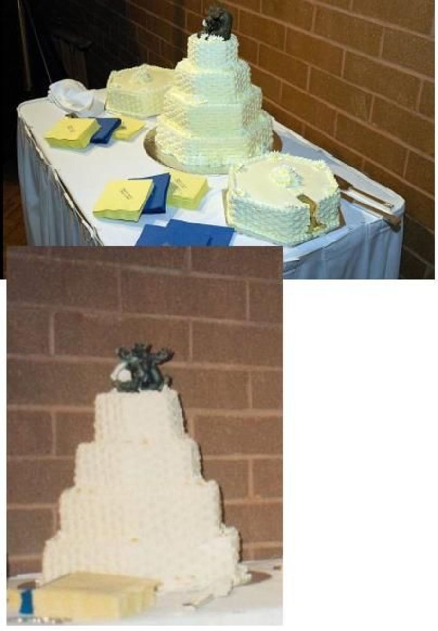 Moose Wedding - CakeCentral.com