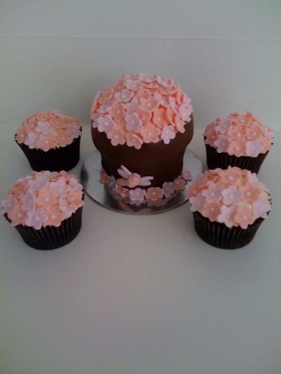 Flower Pot Mini Cake With Matching Cupcakes - CakeCentral.com
