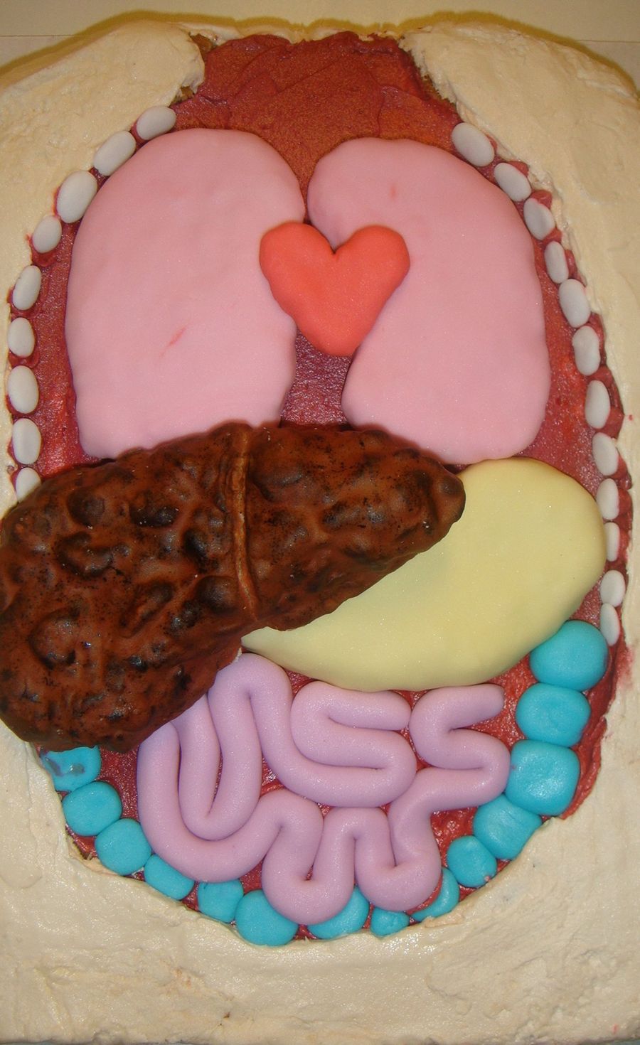 Anatomy Cake - CakeCentral.com
