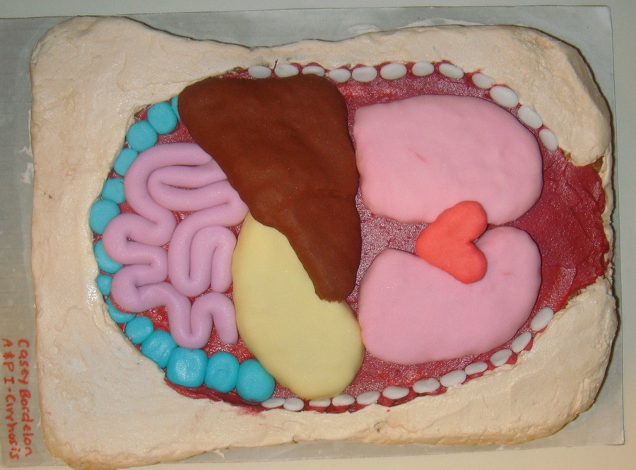 Anatomy Cake - CakeCentral.com