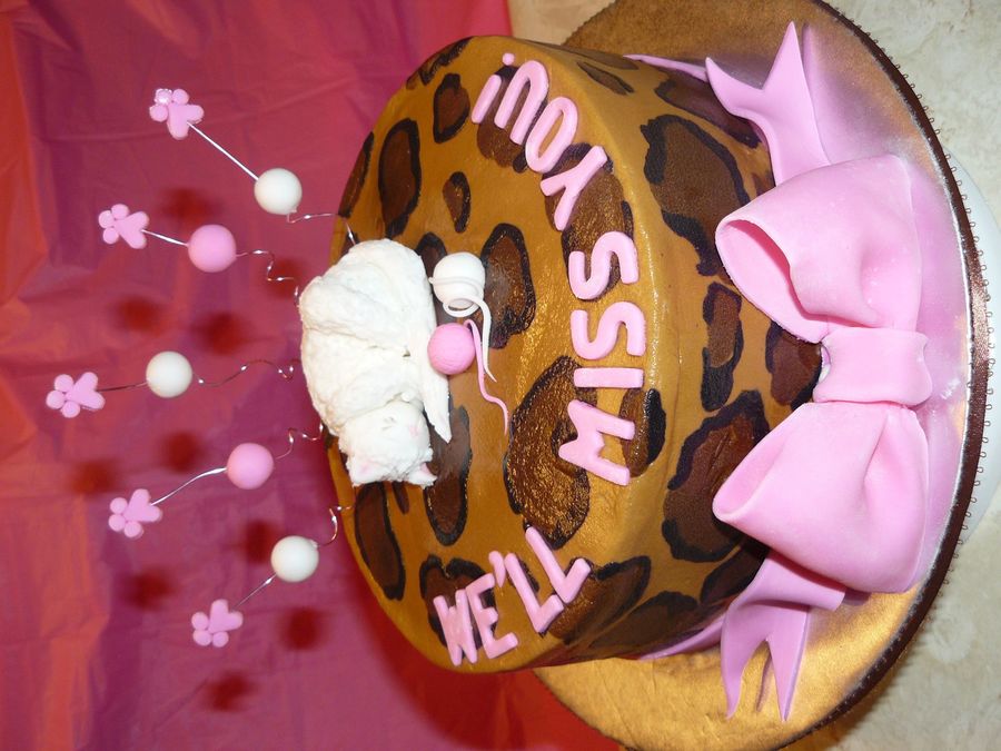 Cat Lover Cake - CakeCentral.com