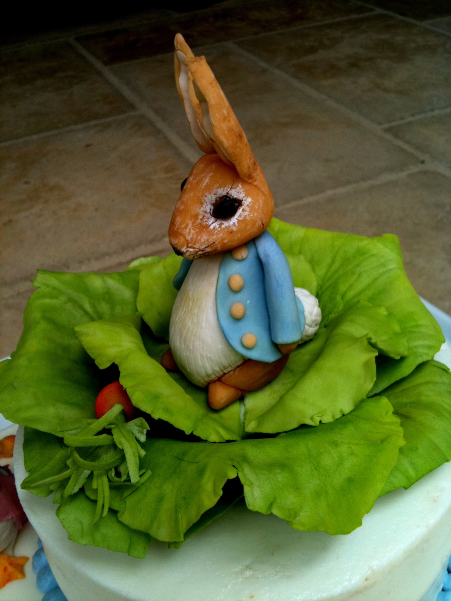 Peter Rabbit And Friends - CakeCentral.com