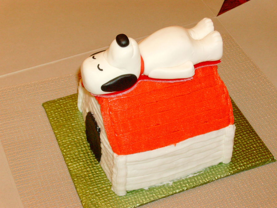 Snoopy "smash Cake" - CakeCentral.com