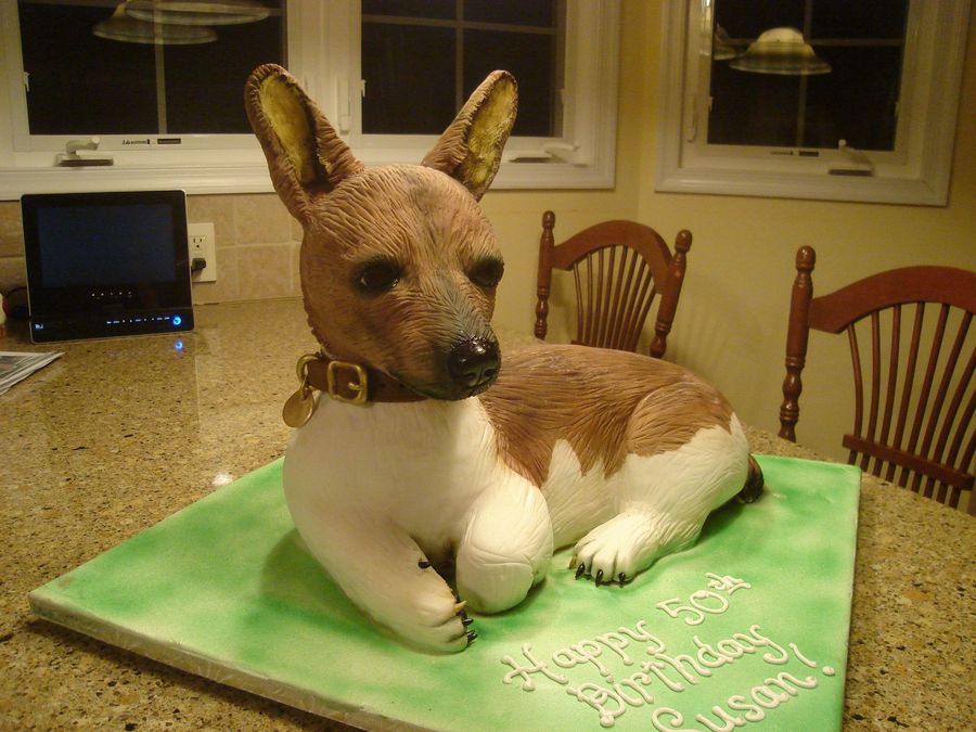 Jack Russell Terrier - CakeCentral.com