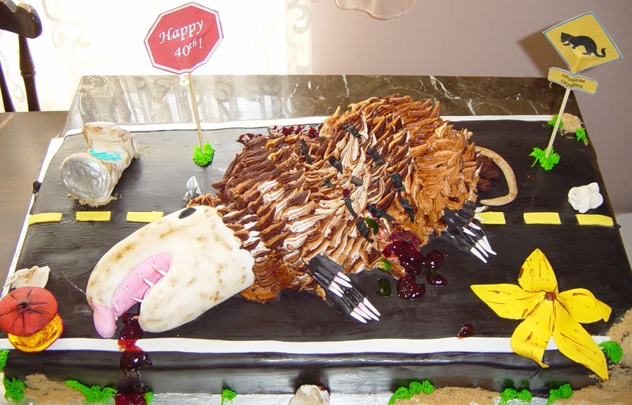 Opossum Road-Kill Cake - CakeCentral.com