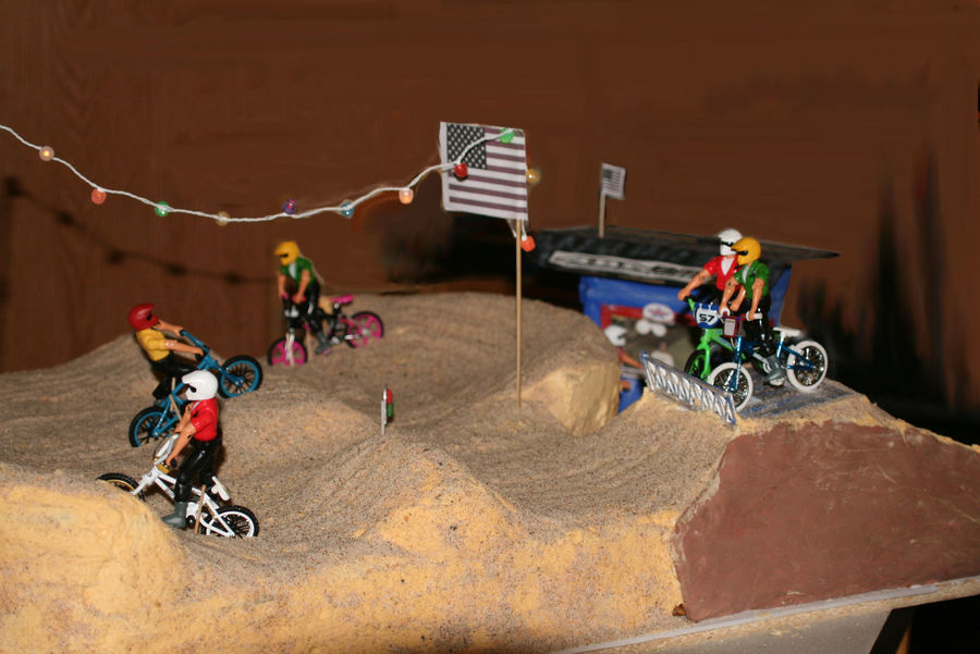 Grandson's Bmx Cake - CakeCentral.com