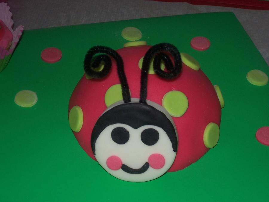 Ladybug Smash Cake - CakeCentral.com