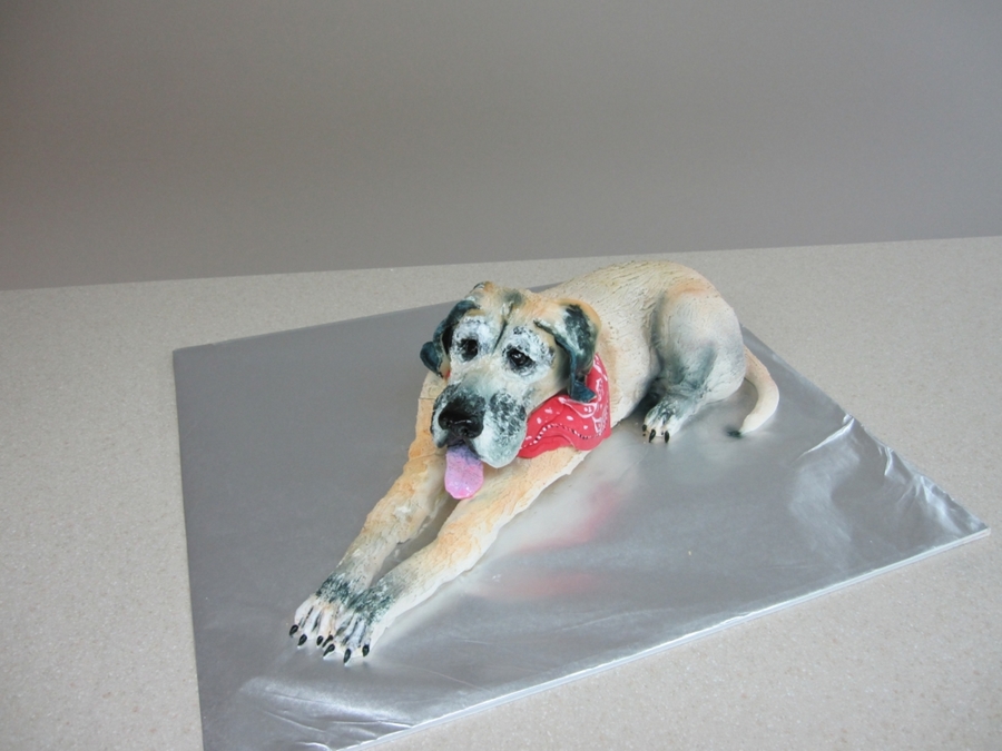 Dane! - CakeCentral.com