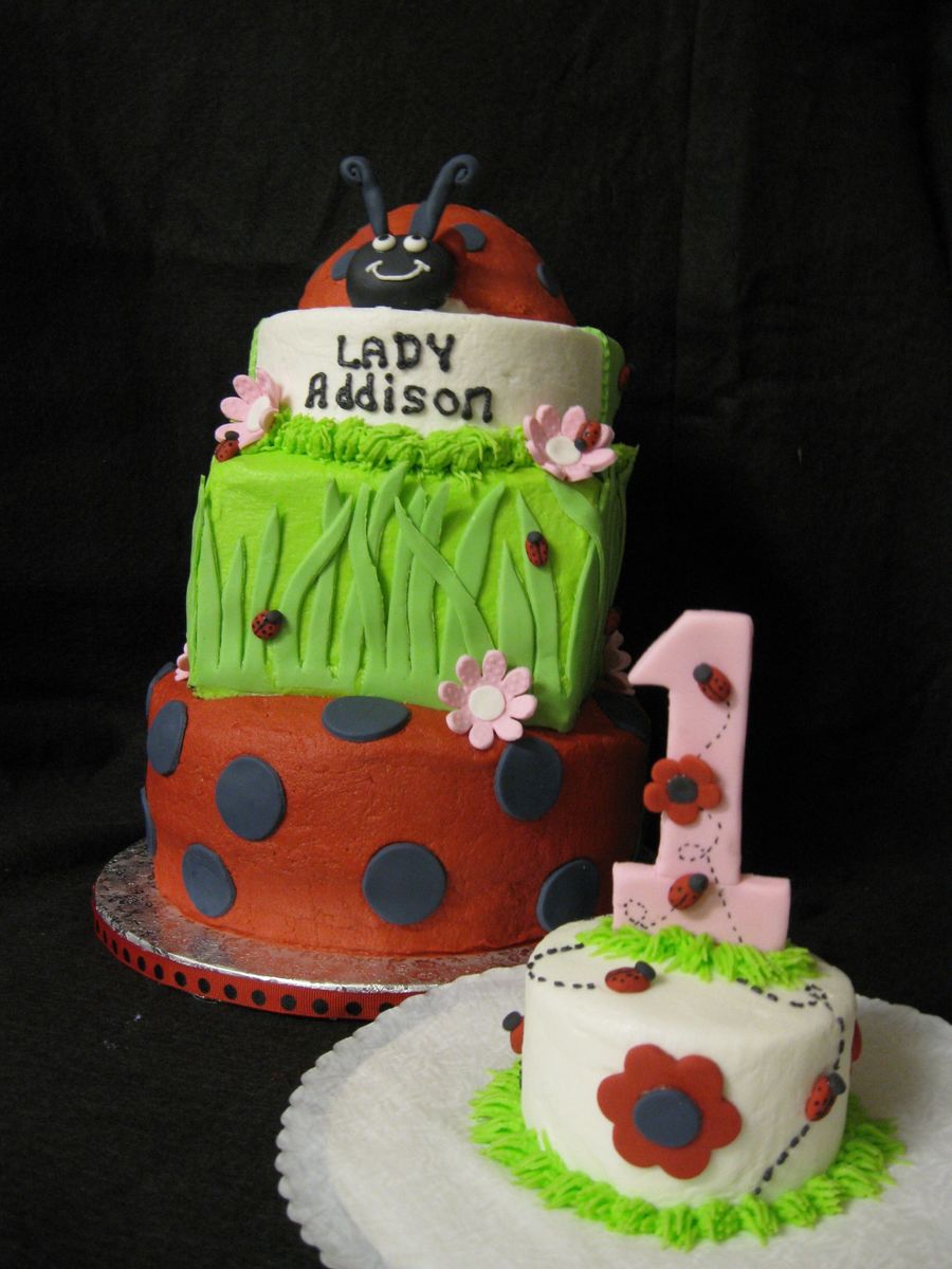 Lady Bug Birthday Cake - CakeCentral.com