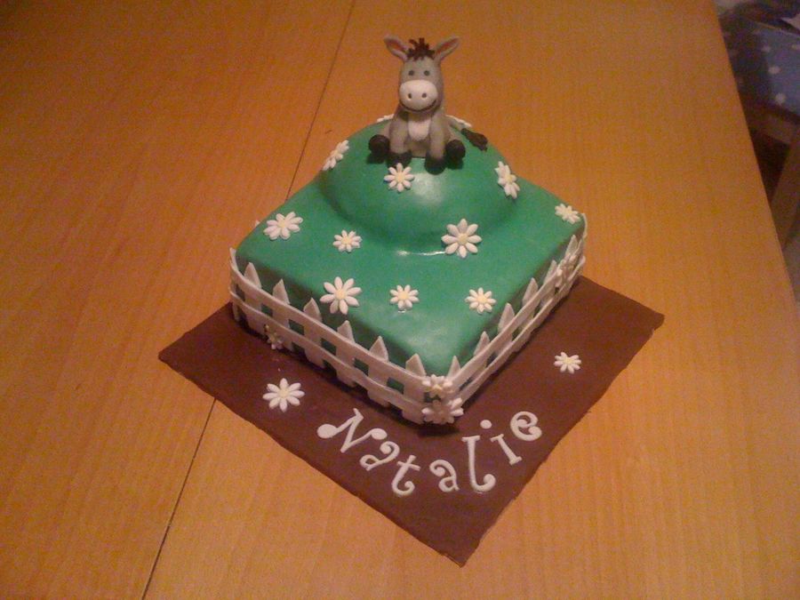 Donkey Birthday Cake - CakeCentral.com
