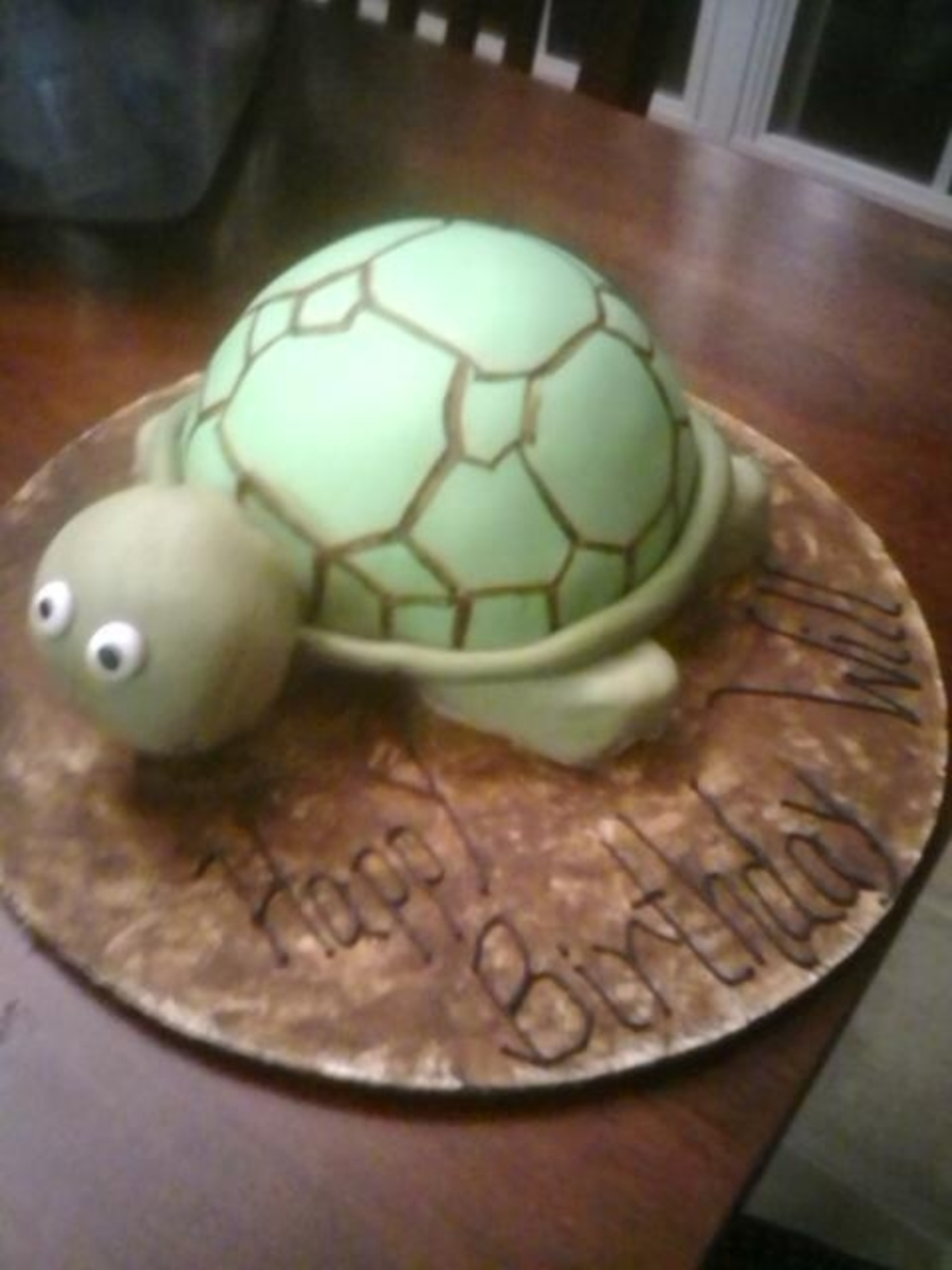 Turtle Cake - CakeCentral.com