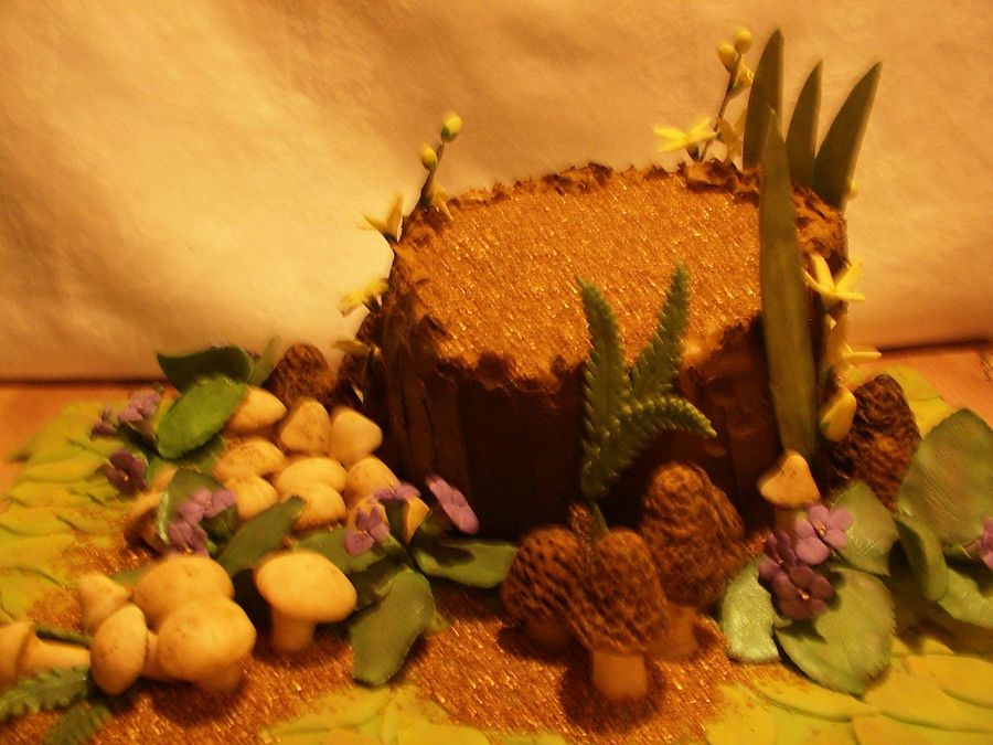 Mushroom Cake - CakeCentral.com