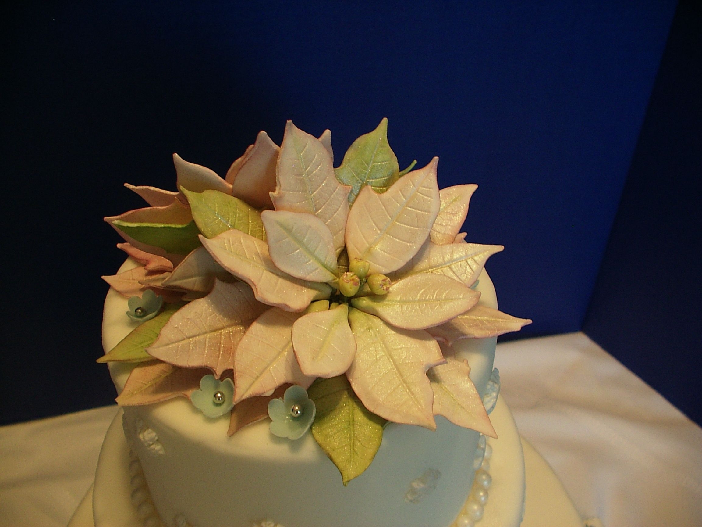 My First Convention Cake - CakeCentral.com