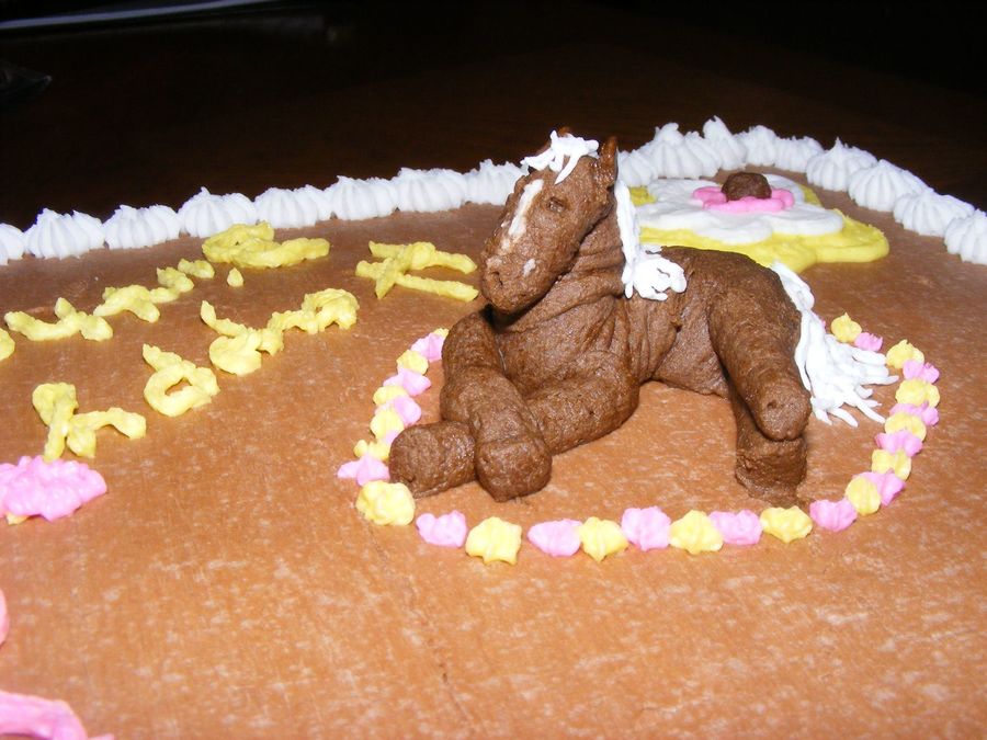 Horse Cake - CakeCentral.com