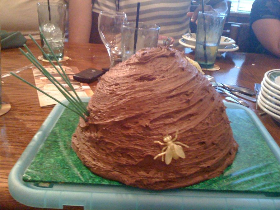 Pile O' Poop Cake - CakeCentral.com