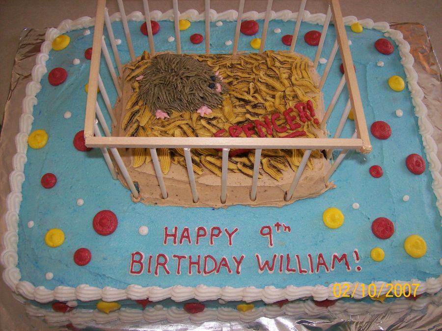 Hamster Cake - CakeCentral.com