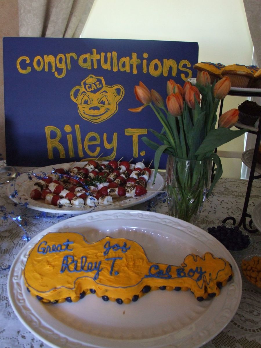 Cal Berkeley Violin Cake - CakeCentral.com