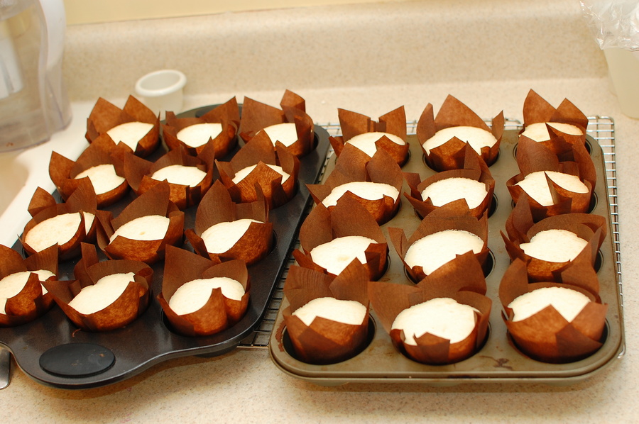 Parchment Cupcake Liners - CakeCentral.com