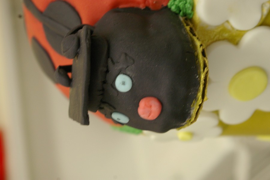 Ladybug Graduation - CakeCentral.com