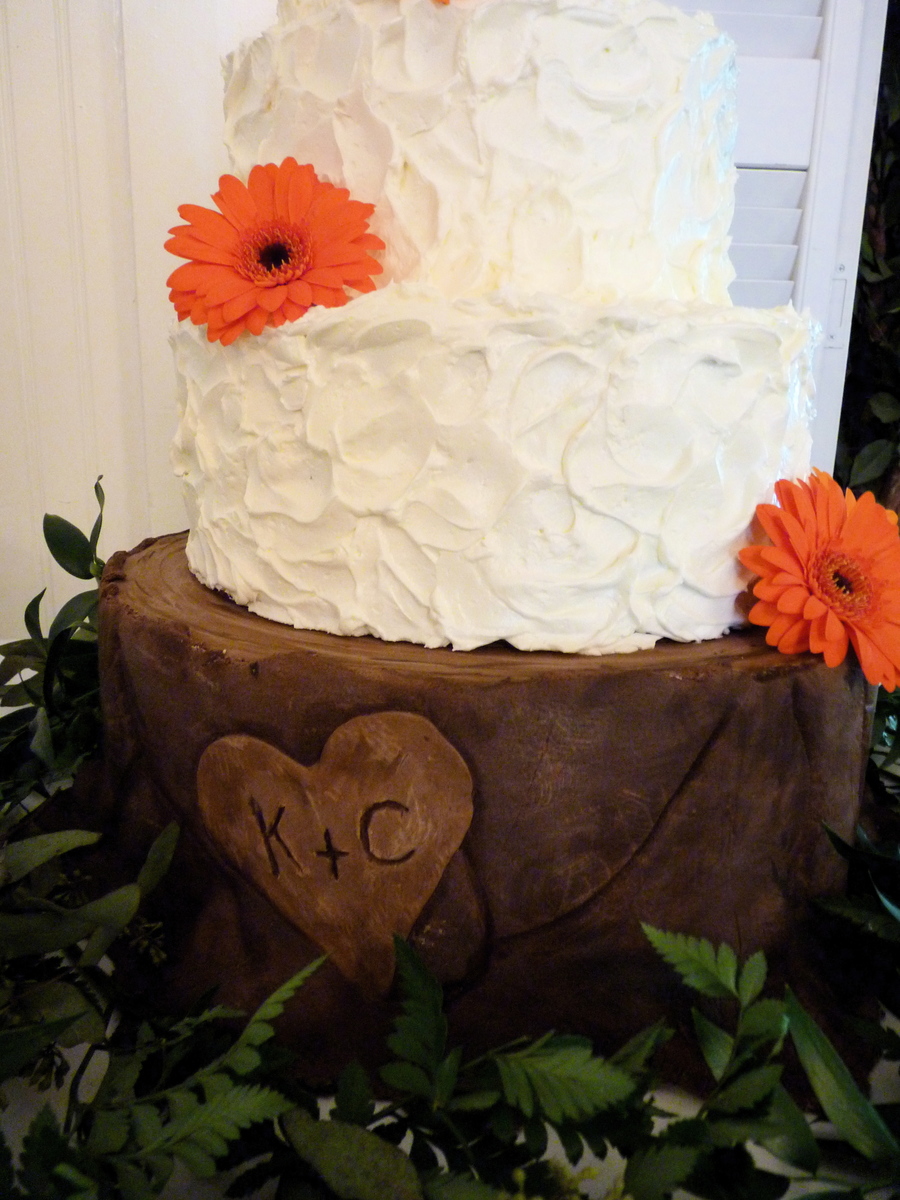 Tree Trunk Wedding Cake - CakeCentral.com
