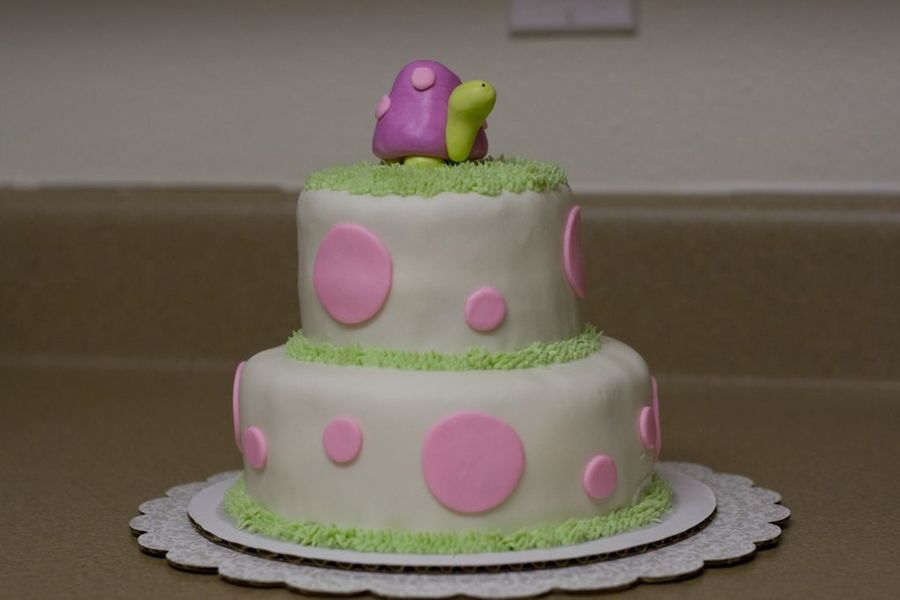 Tortoise Cake - CakeCentral.com