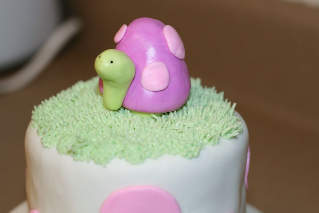 Tortoise Cake - CakeCentral.com