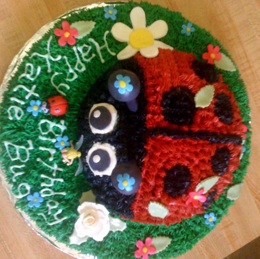 Ladybug Cake - CakeCentral.com