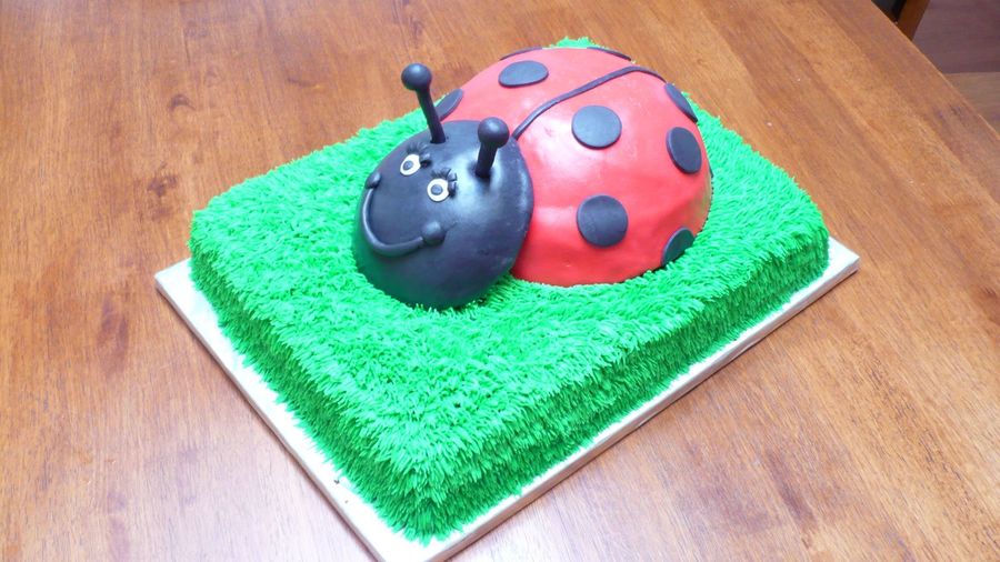 Ladybug Cake - CakeCentral.com