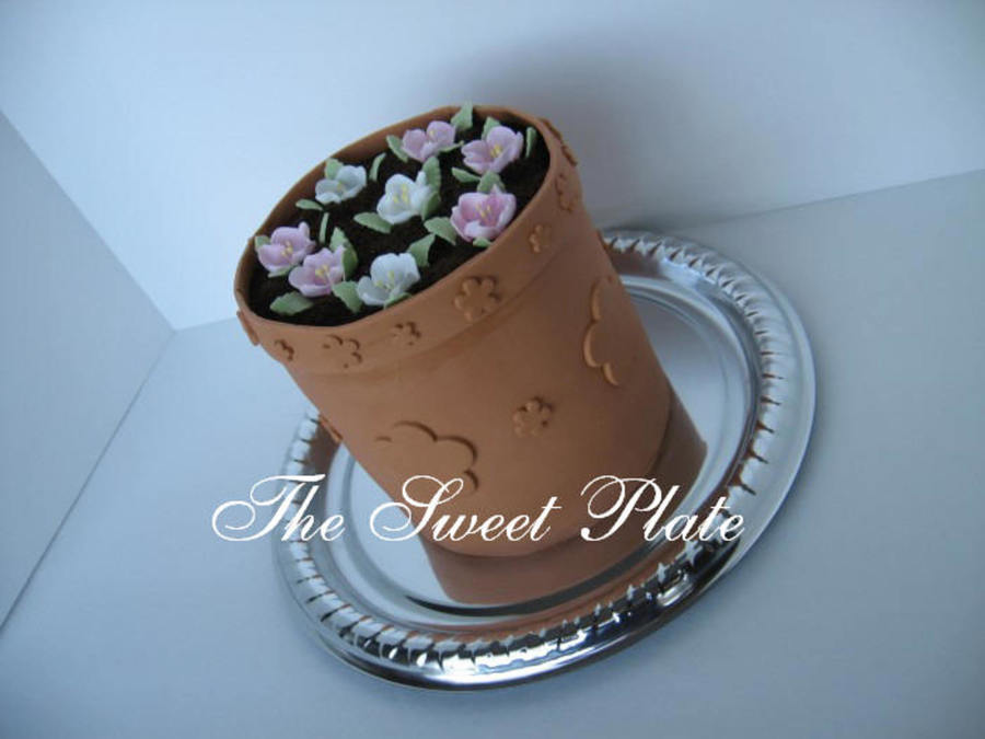 Flower Pot - CakeCentral.com