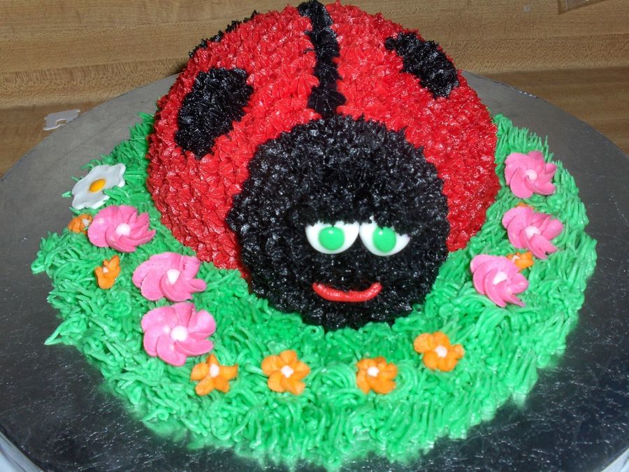 Ladybug Cake - CakeCentral.com