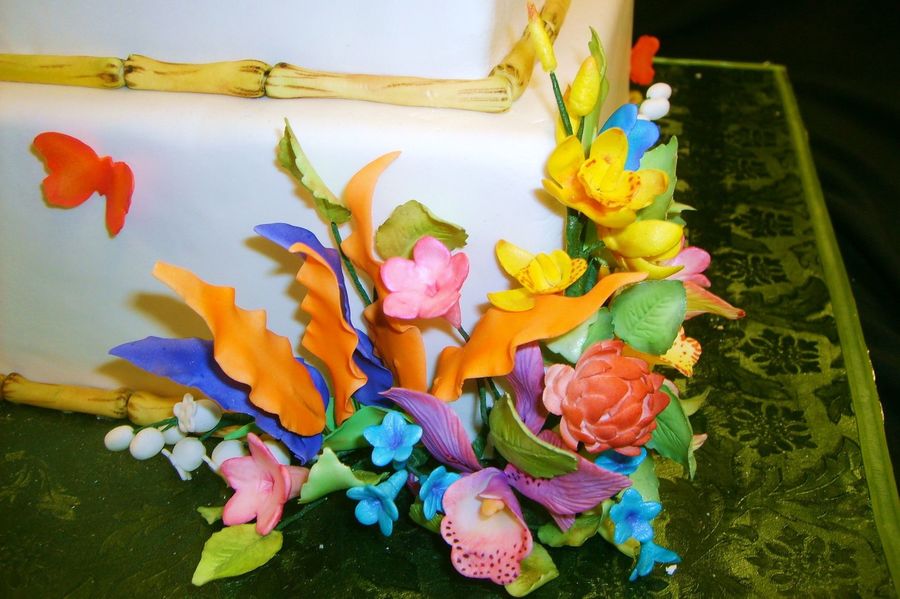 Parrot Paradise - CakeCentral.com