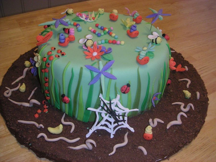 Large Bug Cake - CakeCentral.com
