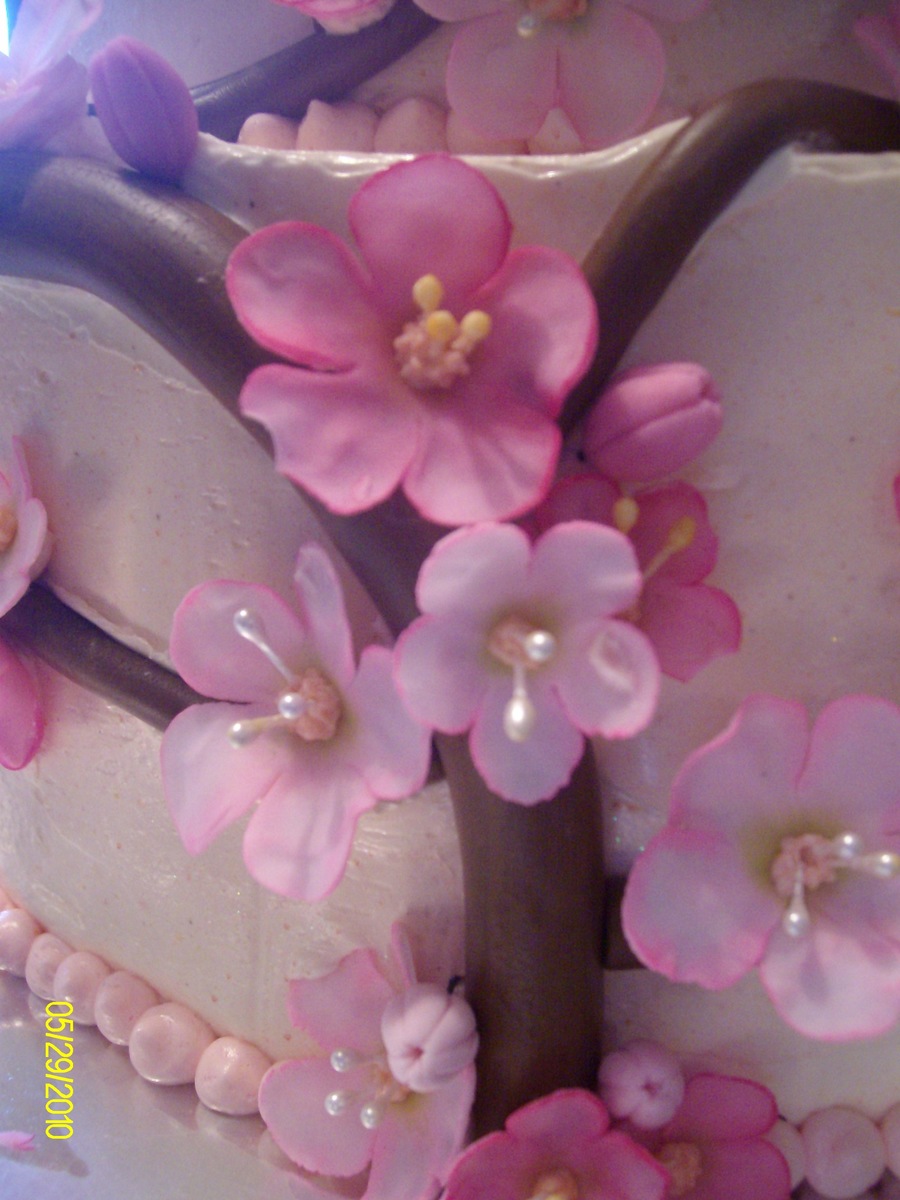Cherry Blossoms - CakeCentral.com