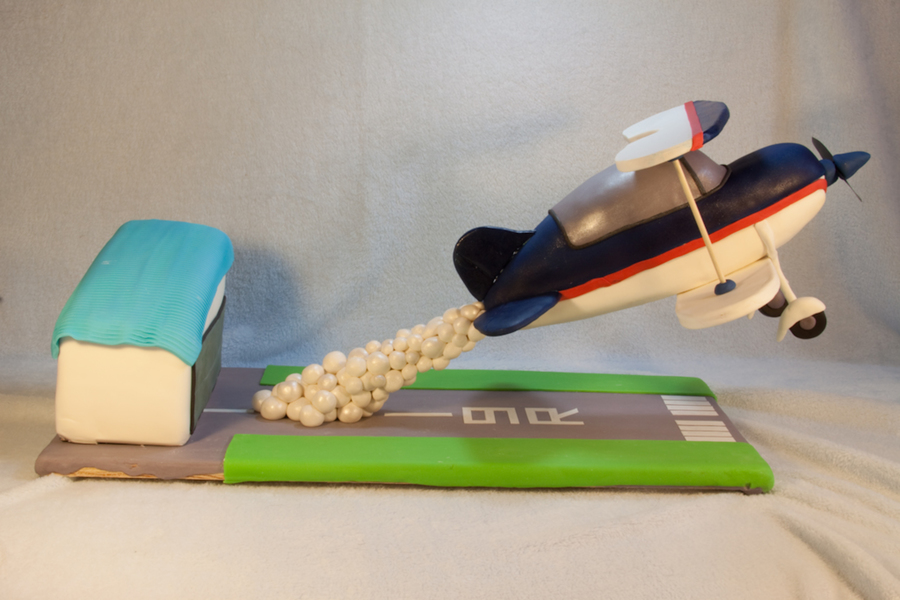 Airplane Birthday Cake - CakeCentral.com