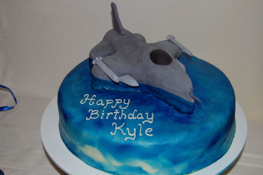 F-16 - CakeCentral.com