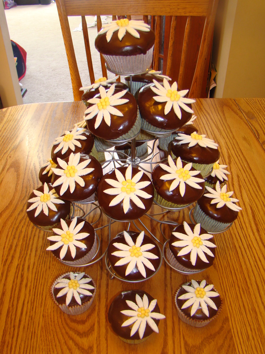 Edelweiss Cupcakes - CakeCentral.com