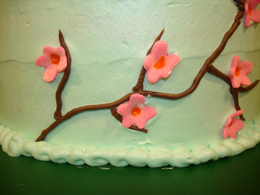 Trish's Birthday Cake - CakeCentral.com