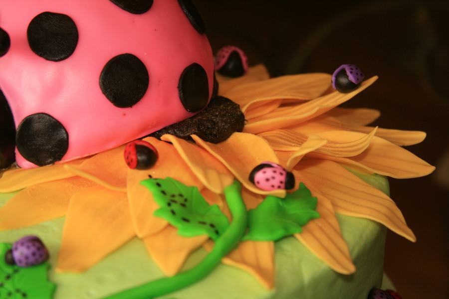 Pink Ladybug - CakeCentral.com