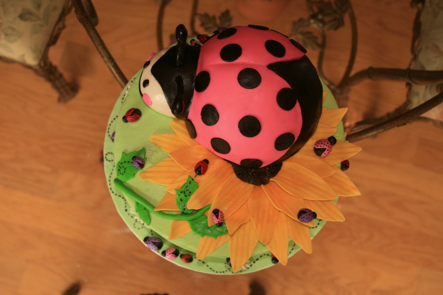 Pink Ladybug - CakeCentral.com
